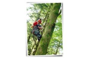 Tout savoir sur le tronçonnage du bois