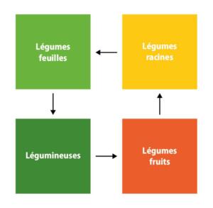 L'art de la rotation des cultures au jardin - Mr Jardinage