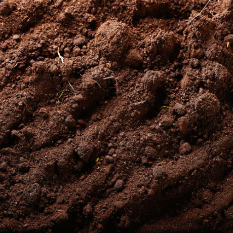 La grelinette, le guide complet pour un sol sain et productif - Mr ...