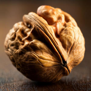 Le brou de noix : un trésor naturel aux multiples facettes - Mr Jardinage